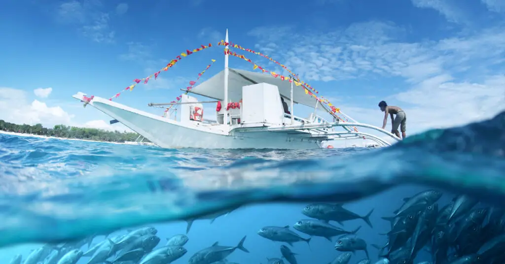 What Is the Thinnest Fishing Line? Unraveling the Secrets of Ultra-Thin ...
