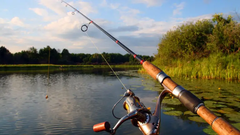 Fishing Line Weight Capacity: Understanding the Strength and Limits of ...