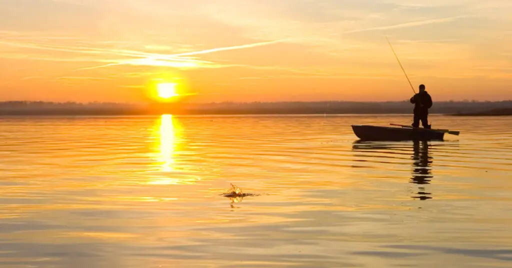 How Do Fishing Rods Not Break? Exploring the Engineering Behind Durable ...