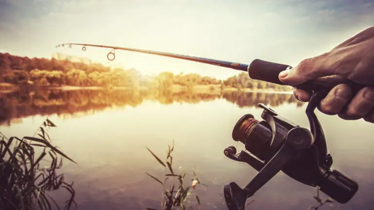 What Is the Thinnest Fishing Line? Unraveling the Secrets of Ultra-Thin ...