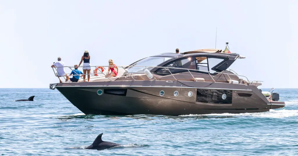 Why Do Dolphins Follow Boats? Exploring the Fascinating Relationship ...